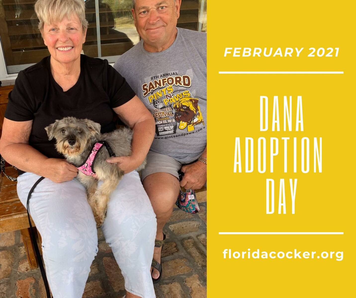 Dana – Florida Cocker Spaniel Rescue…